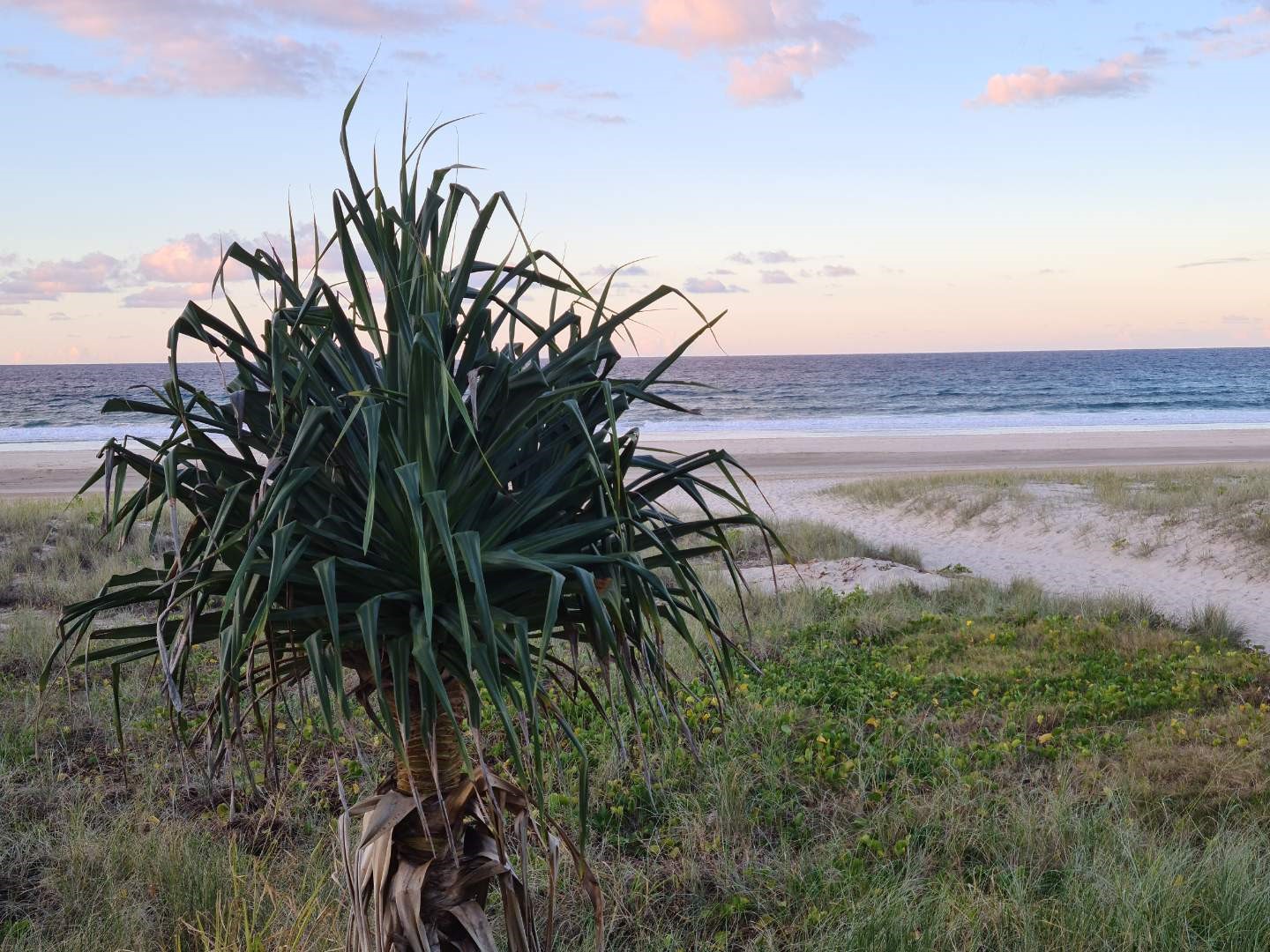 Oceanside Resort | Absolute Beachfront Apartment Accommodation ...