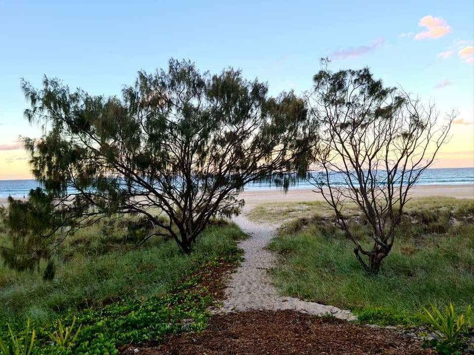 Oceanside Resort | Absolute Beachfront Apartment Accommodation ...